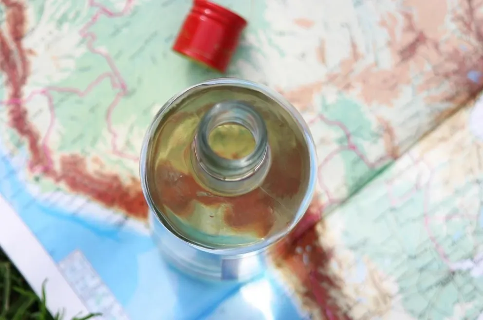 Estudio de historiadores valida origen común del pisco chileno y del ...