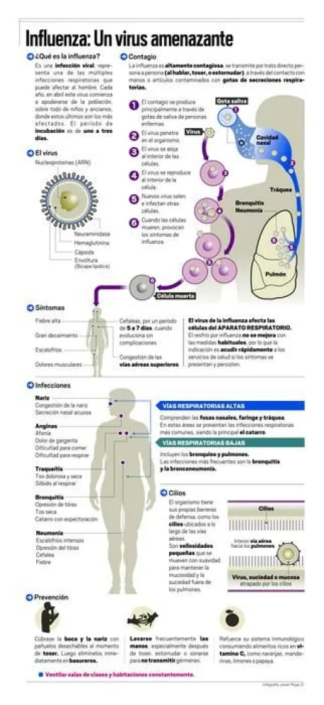Infografia Influenza | Diario el Día