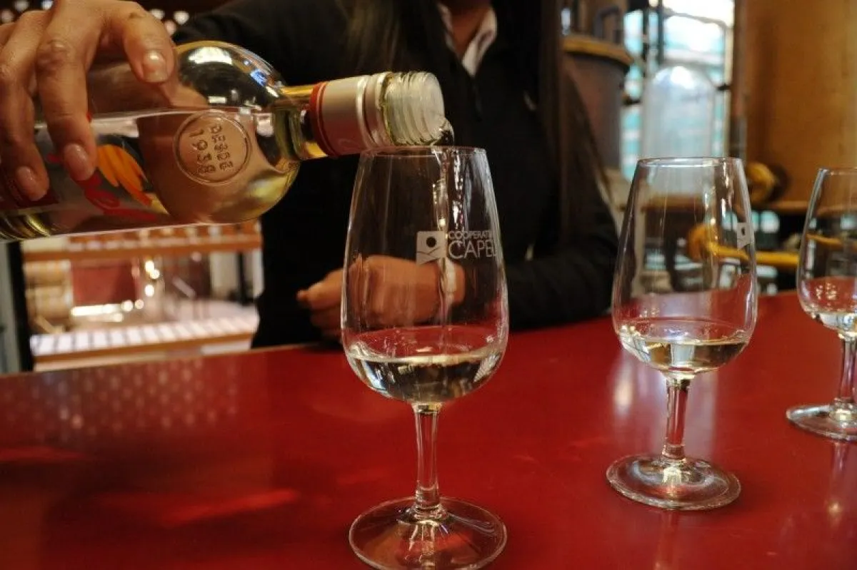Reclaman promoción de aguardiente peruana como Pisco en encuentro ...