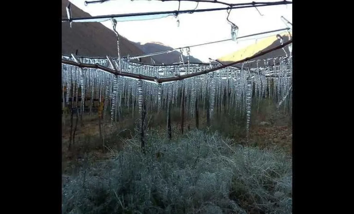 Nuevamente se presentarían bajas temperaturas y probables heladas en ...