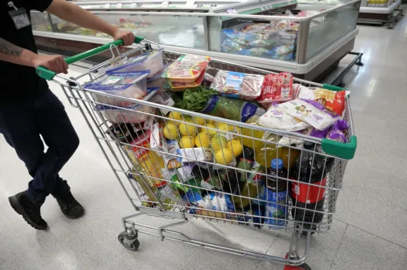 Subsidio de alimentos: ¿Cómo operará la medida y quienes se verán ...