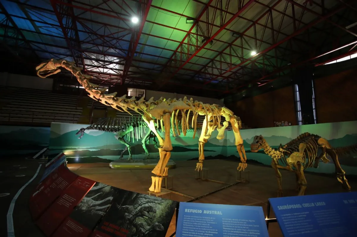 ¡Quedan los últimos días!: Expo dinosaurios en Coquimbo ha recibido más ...
