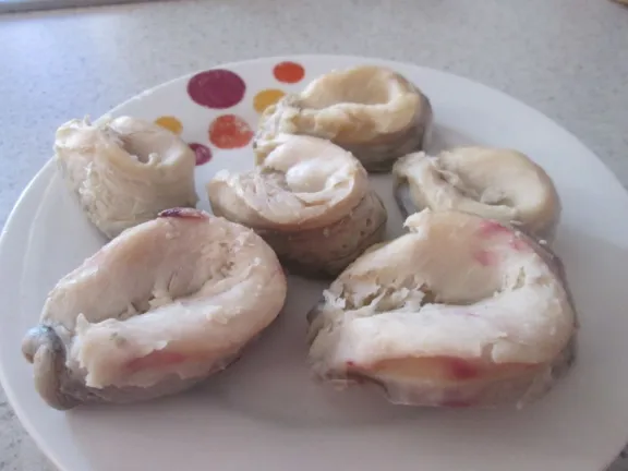 El Loco chileno está elegido entre los cinco finalistas para "Molusco ...