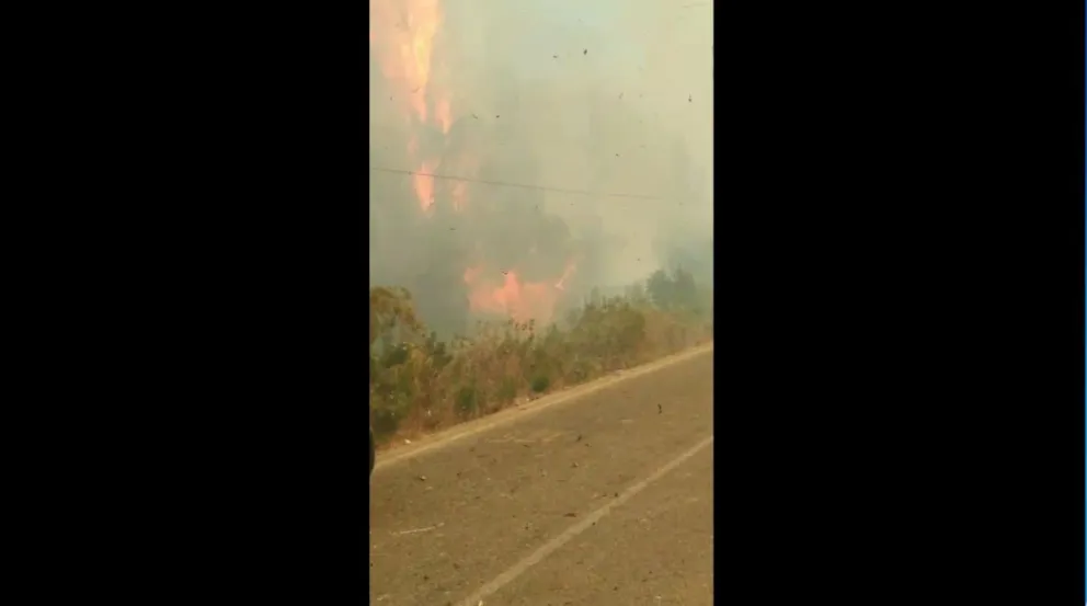 Incendio Forestal Afecta A Monte Patria Se Declaró Alerta Roja Por