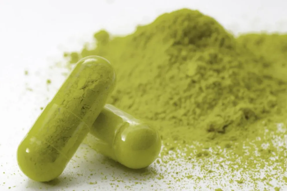 Kratom: la nueva droga a base de plantas con un alto potencial adictivo ...