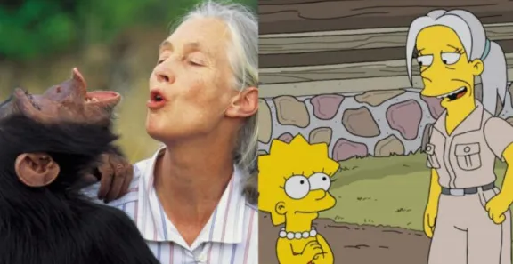 Apareció en Los Simpsons: Jane Goodall, la famosa etóloga que dedicó su vida a los chimpancés ...