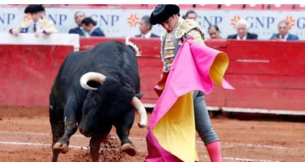Corridas de toro sin sangre: México aprueba histórica ley que reformula ...
