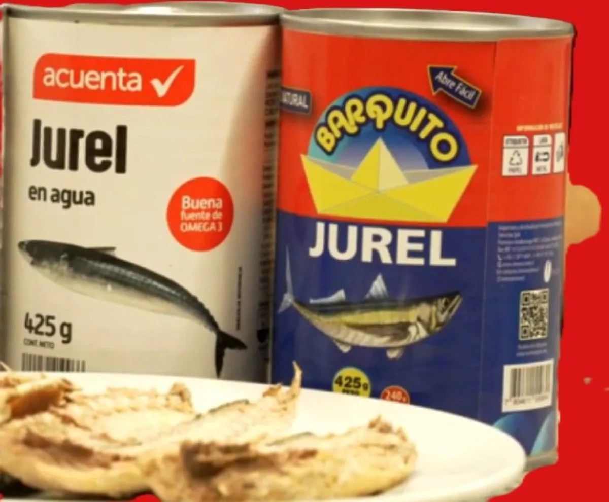 De origen chino: denuncian 30 millones de tarros con "jurel falso" en ...