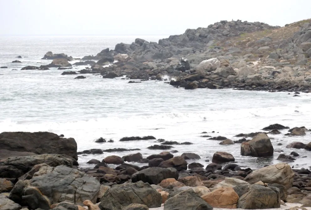 Tokyo teaa onlyfans leak she was prompt and when I arrived