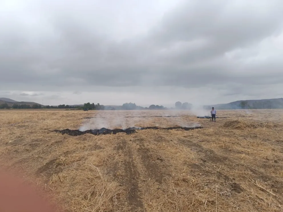 Quemas ilegales encienden alerta por incendios forestales | Diario el Día