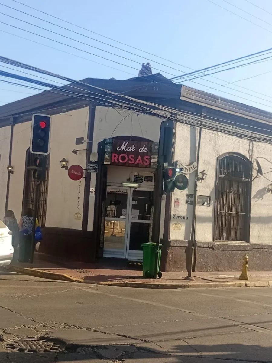 ¿Mar de Rosas? El Bacano abre con otro nombre pese a clausura por ...