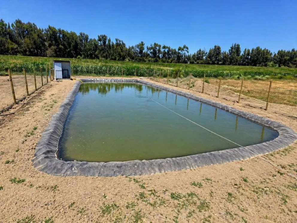 INDAP abre concursos para financiar obras de riego y mejorar acceso al ...