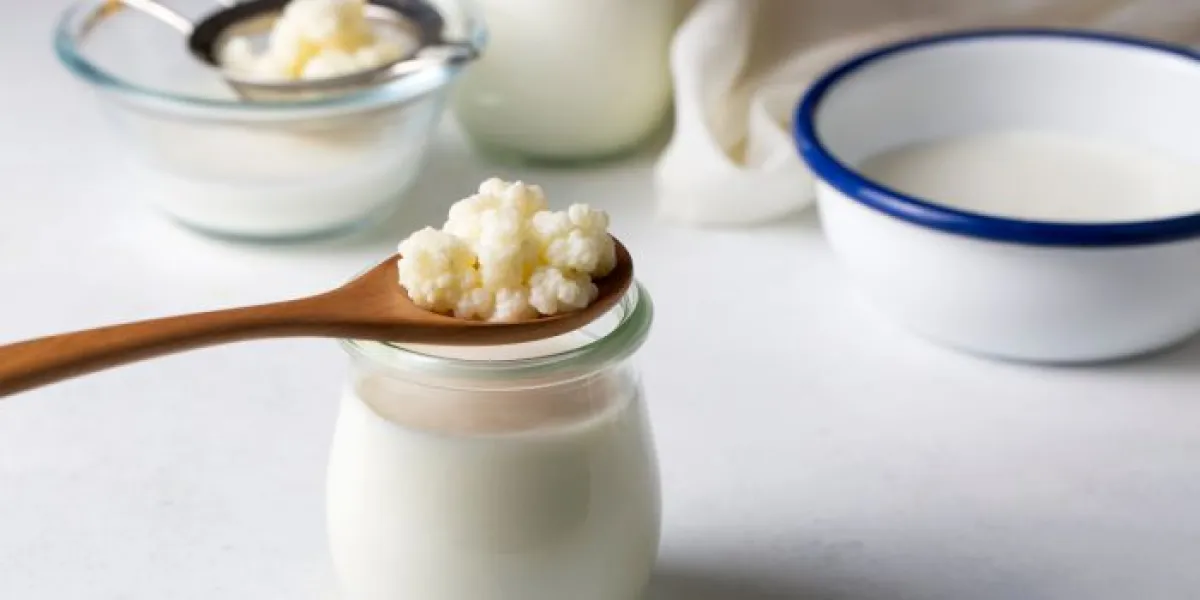Kéfir: qué es y cuáles son sus beneficios para la salud | Diario el Día